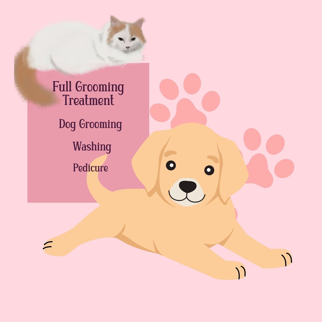 Pet Grooming Post Instagram Template | Before and After Pet ...
