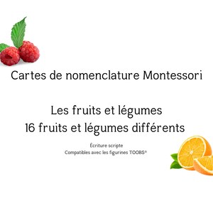 Cartes de nomenclature Montessori fruits et légumes - Etsy France