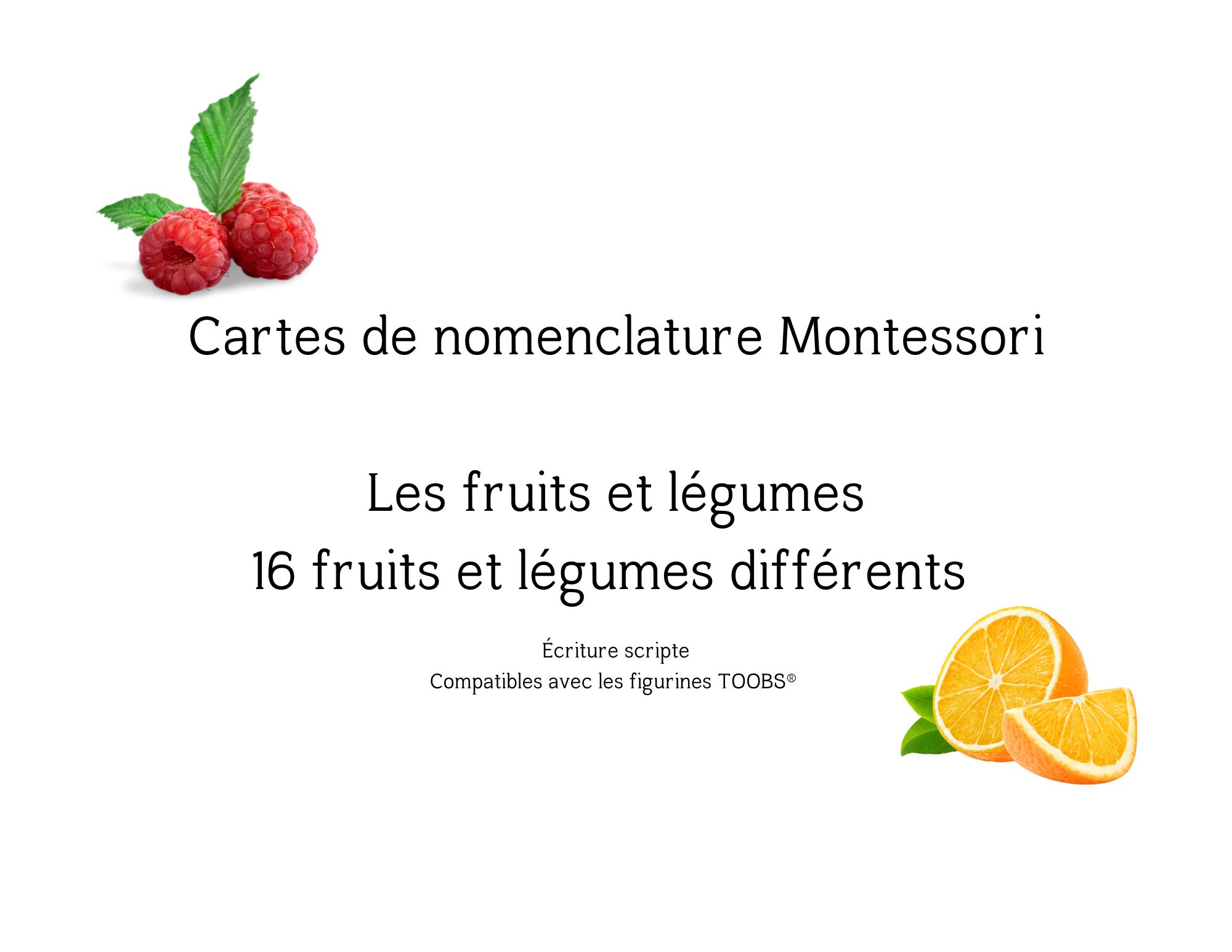 Cartes de nomenclature Montessori fruits et légumes - Etsy France