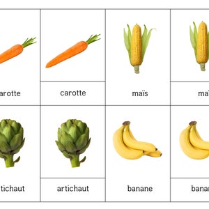 Cartes de nomenclature Montessori fruits et légumes - Etsy France
