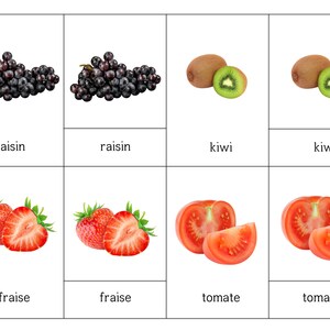 Cartes de nomenclature Montessori fruits et légumes - Etsy France
