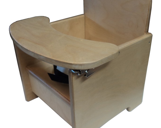 A New Wooden Potty Chair W/ Latching Tray, Pot, and Pee Deflector ...