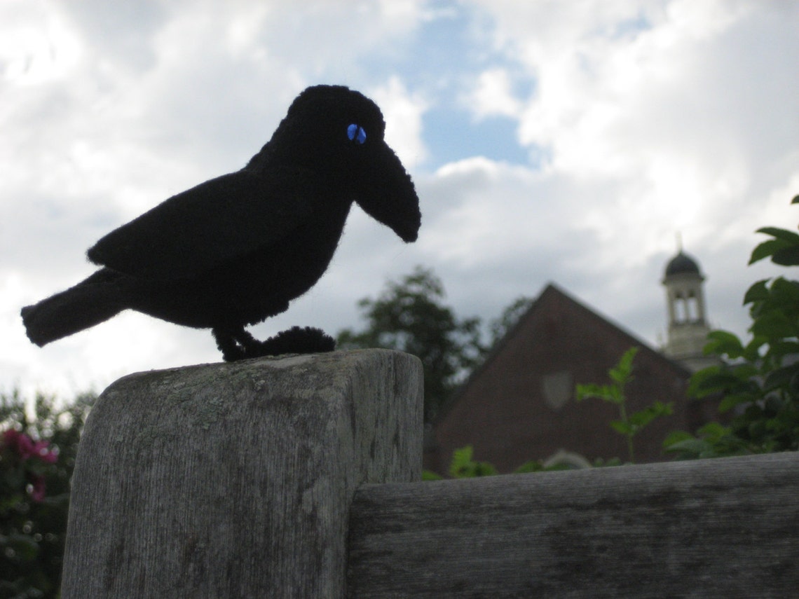 Nevermore Raven Felt Sewing Pattern Pdf Download - Etsy