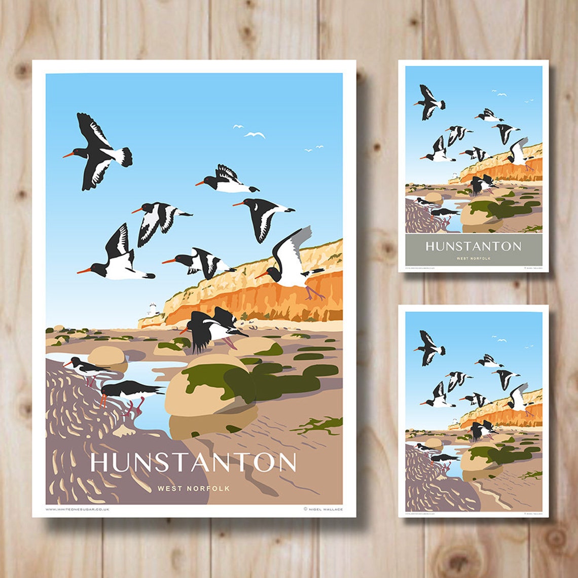 Hunstanton Oystercatchers, Cliffs, West Norfolk, Portrait, in Retro ...