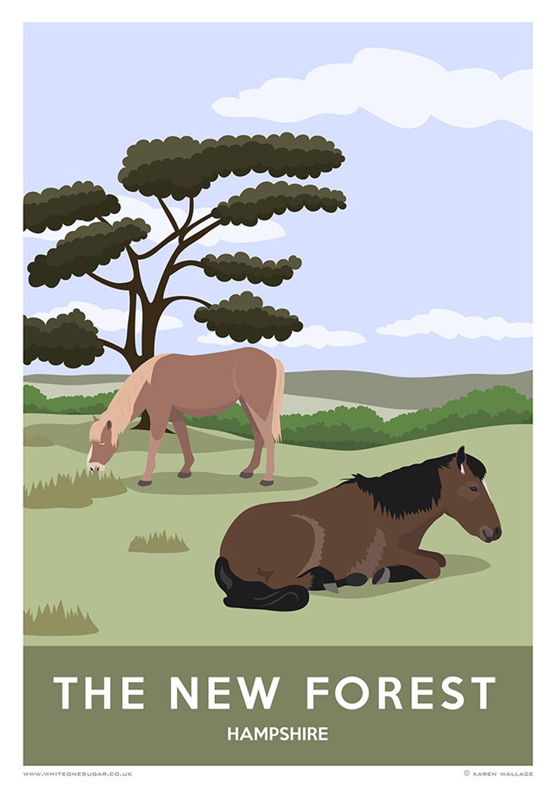 New Forest Ponies, Hampshire. Portrait and Landscape A4, A3, A2, A1 ...
