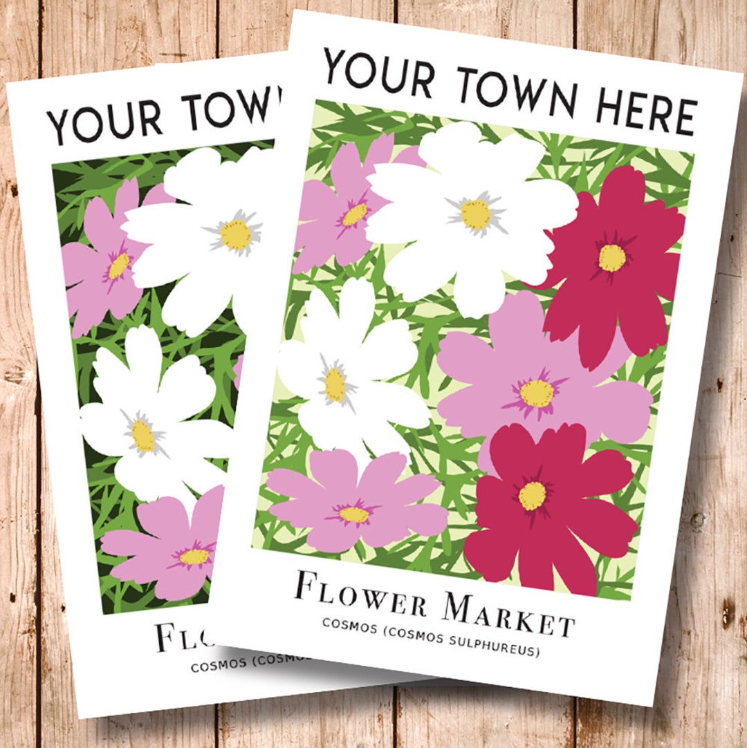 Pink & White Cosmos, Flower Poster. Personalise the Poster With Your ...