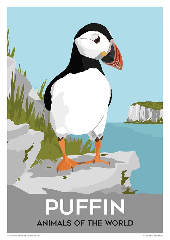 Jewelry Boxes Puffin Design Black Travel Jewellery Box Travel Accessory ...