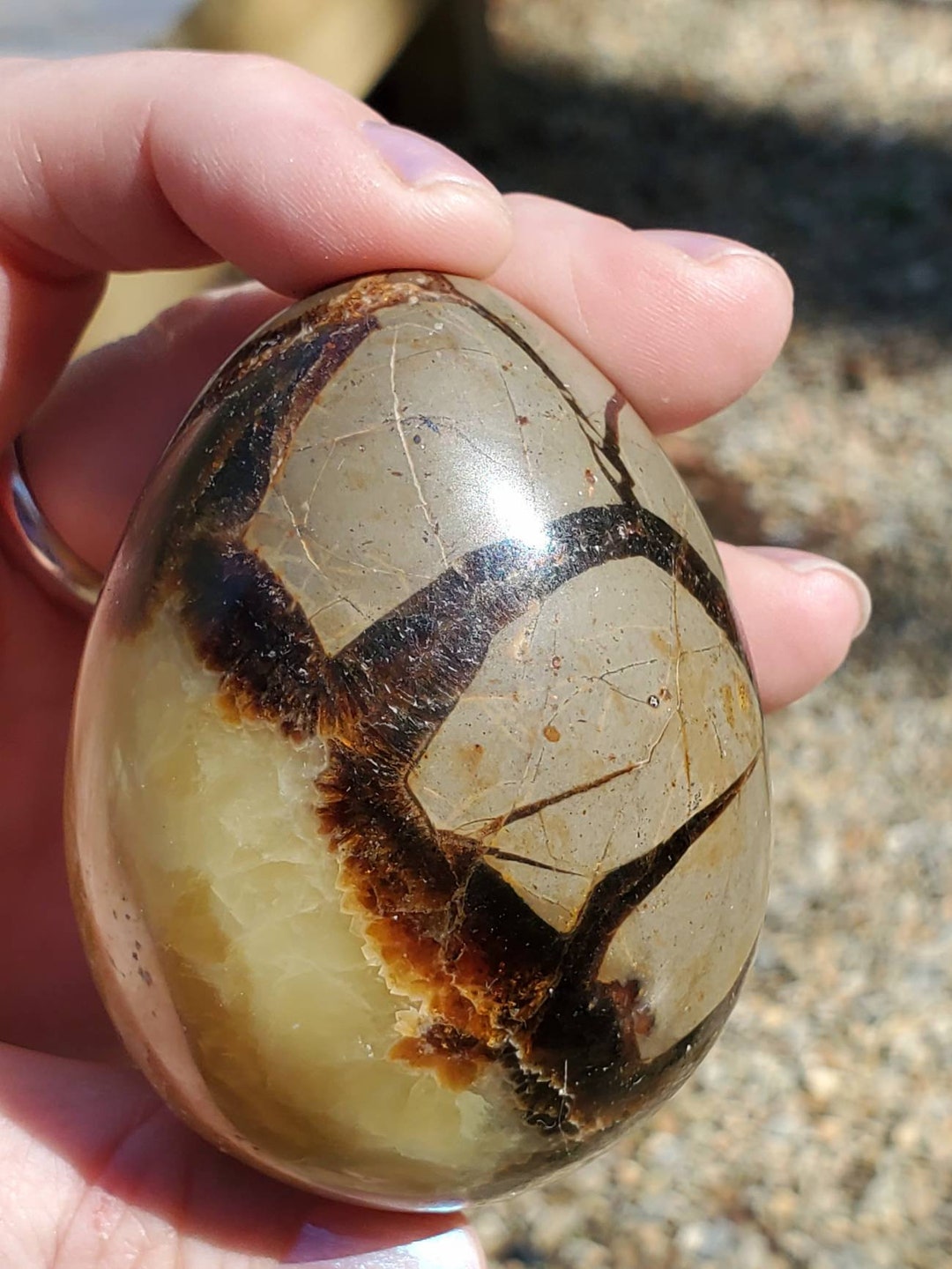 Septarian Crystals- Dragon Stones Crystal Eggs Crystal Ball Dragon Egg ...