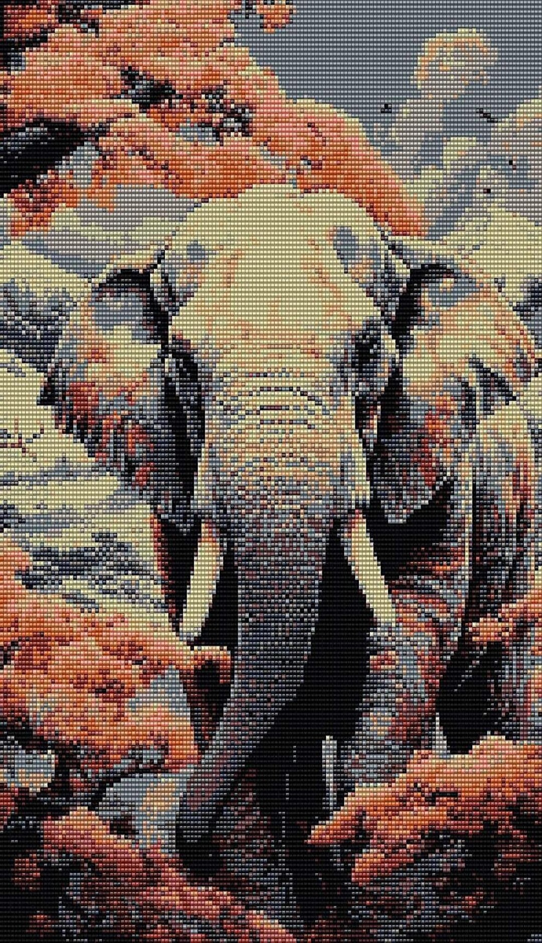 2 Peyote and Loom Patterns - Elephant Tapestry - 19 Colors - Delica ...