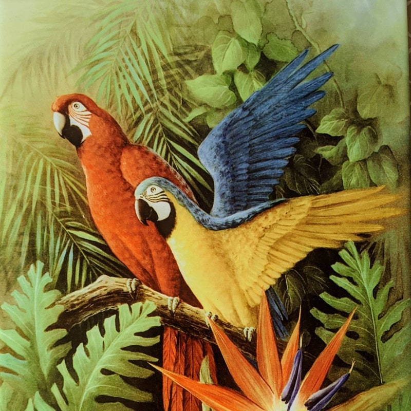 Ceramic Parrot - Etsy