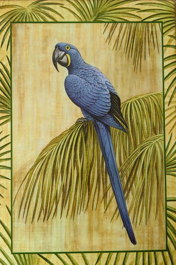 Parrot Ceramic Wall Art Tile 8 by 12 Glossy - Etsy