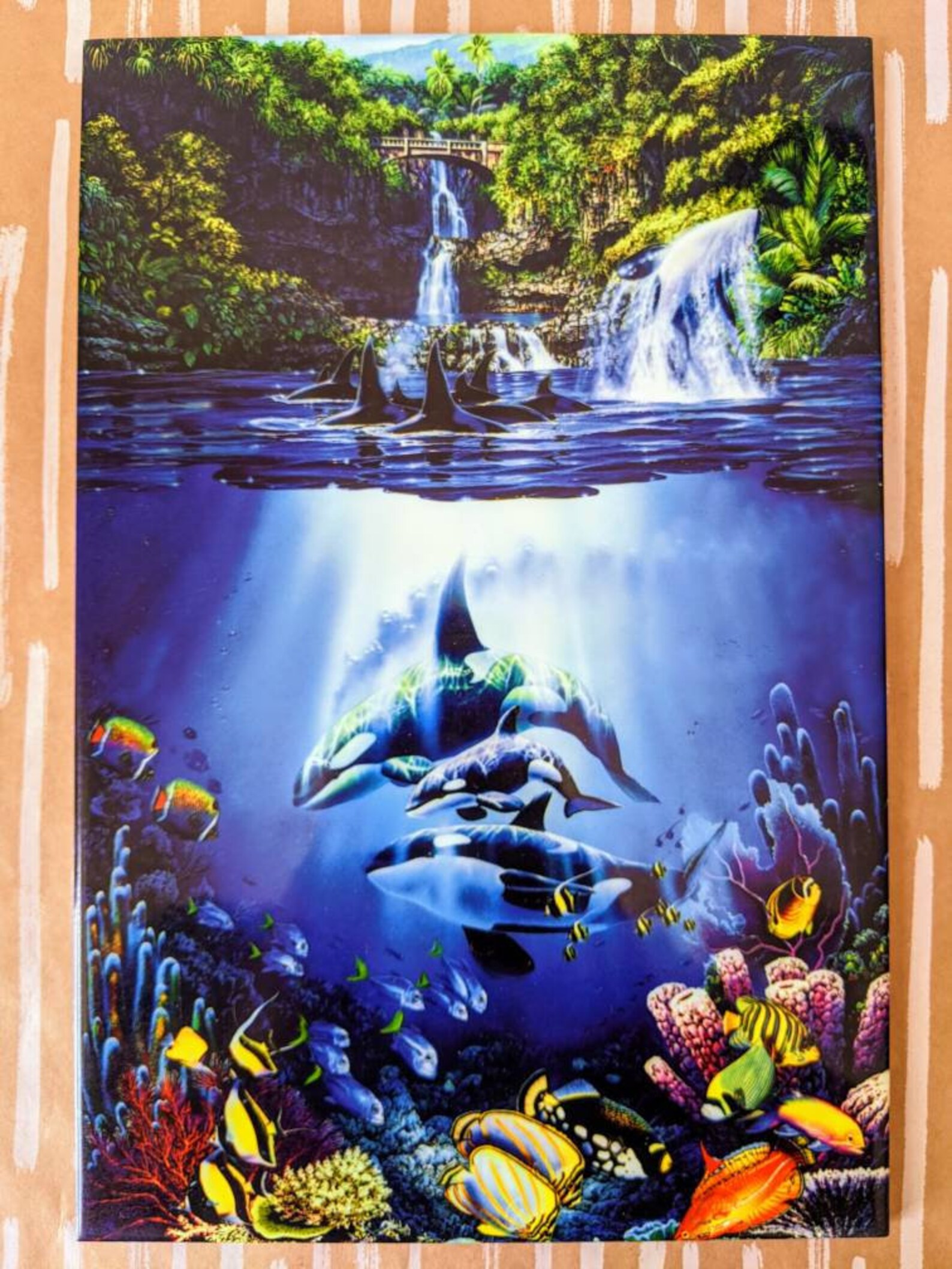 Orcas Killer Whale Ceramic Wall Art Tile, 8" by 12" Glossy Finish, With ...