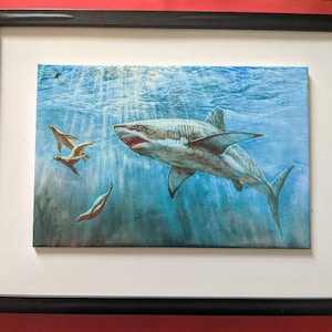 Shark Ceramic Wall Art Tile, 8" by 12" Glossy Finish, With or Without ...