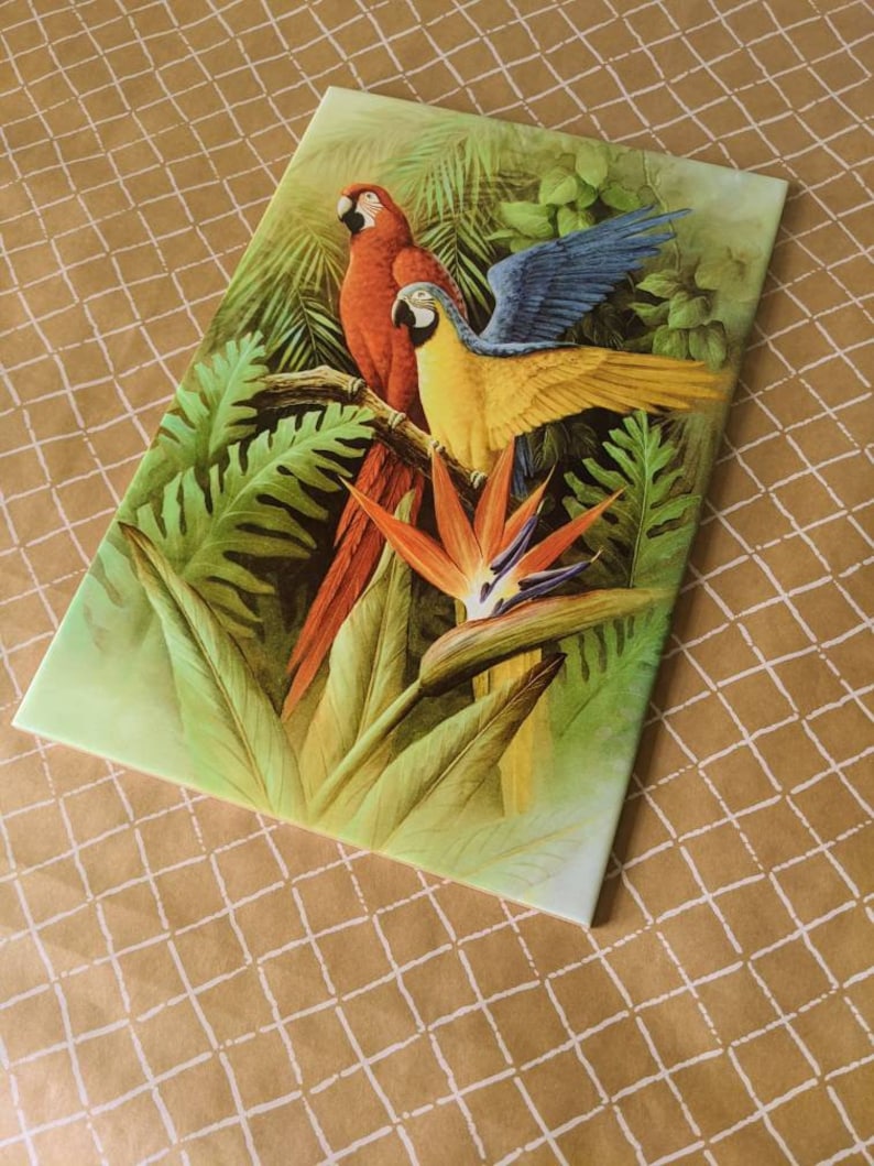 Parrots Ceramic Wall Art Tile, 8" by 12" Glossy Finish, With or Without ...
