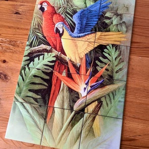 Parrots Ceramic Tile Mural. - Etsy