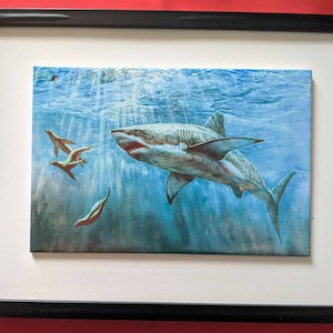 Shark Ceramic Wall Art Tile, 8" by 12" Glossy Finish, With or Without ...