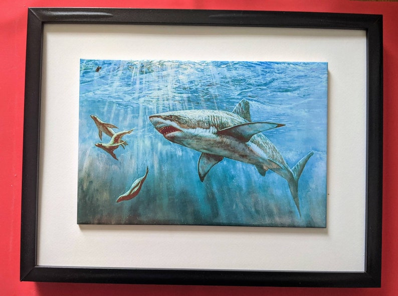 Shark Ceramic Wall Art Tile, 8" by 12" Glossy Finish, With or Without ...
