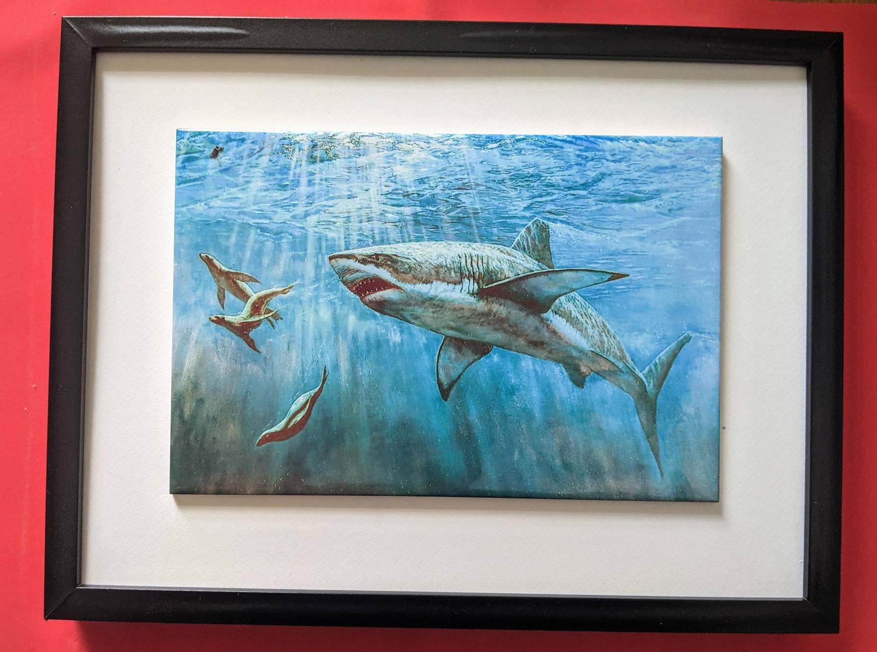 Shark Ceramic Wall Art Tile, 8" by 12" Glossy Finish, With or Without ...