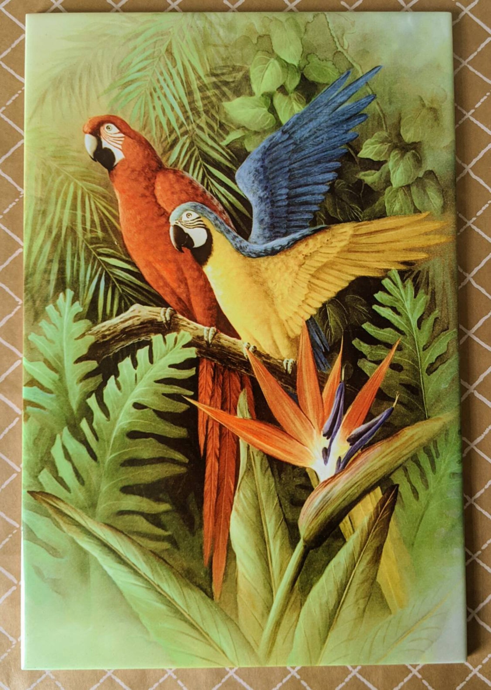 Parrots Ceramic Wall Art Tile, 8" by 12" Glossy Finish, With or Without ...