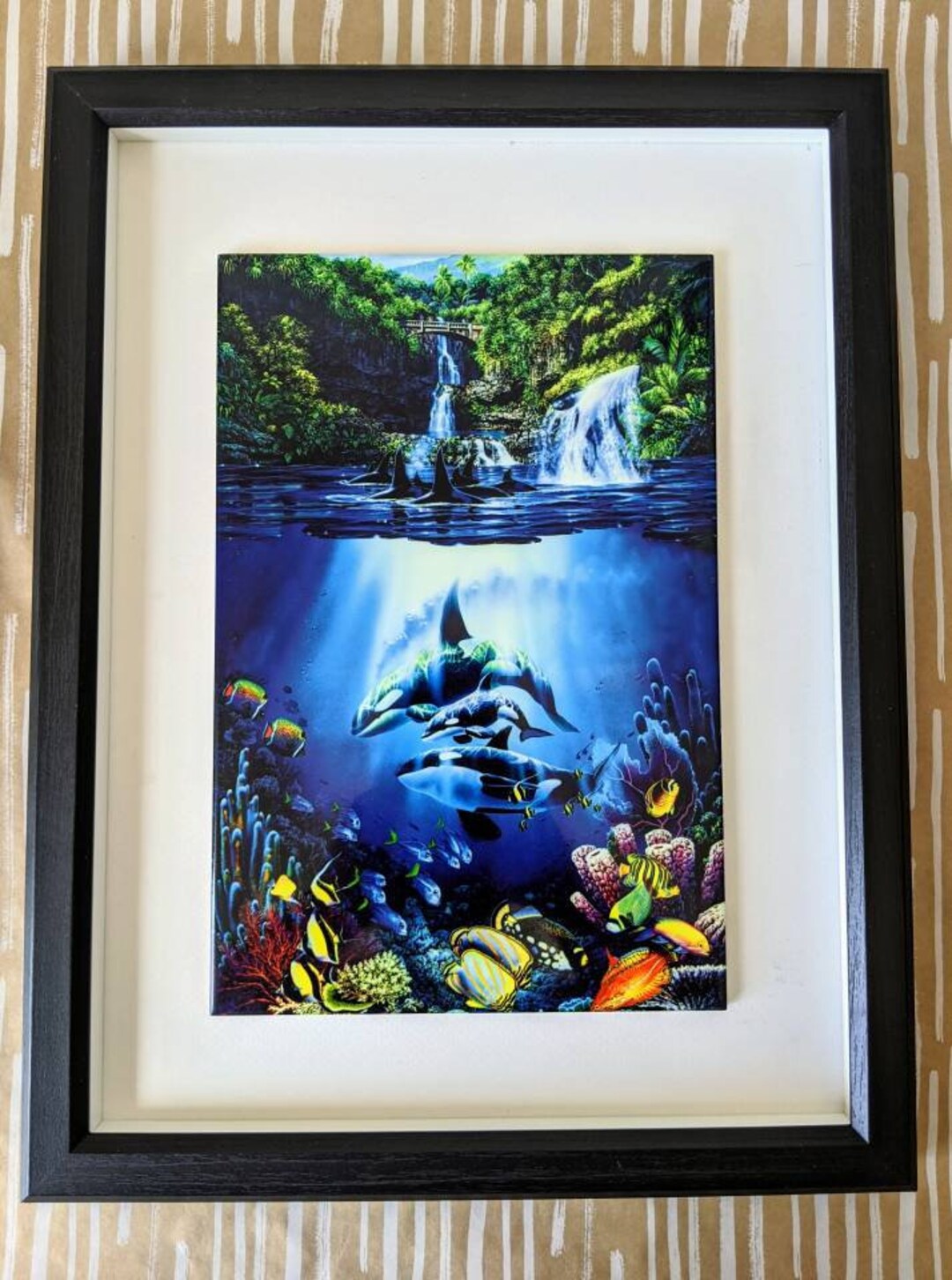 Orcas Killer Whale Ceramic Wall Art Tile, 8" by 12" Glossy Finish, With ...