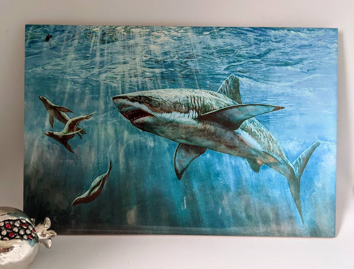 Shark Ceramic Wall Art Tile, 8" by 12" Glossy Finish, With or Without ...