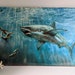 Shark Ceramic Wall Art Tile, 8" by 12" Glossy Finish, With or Without ...