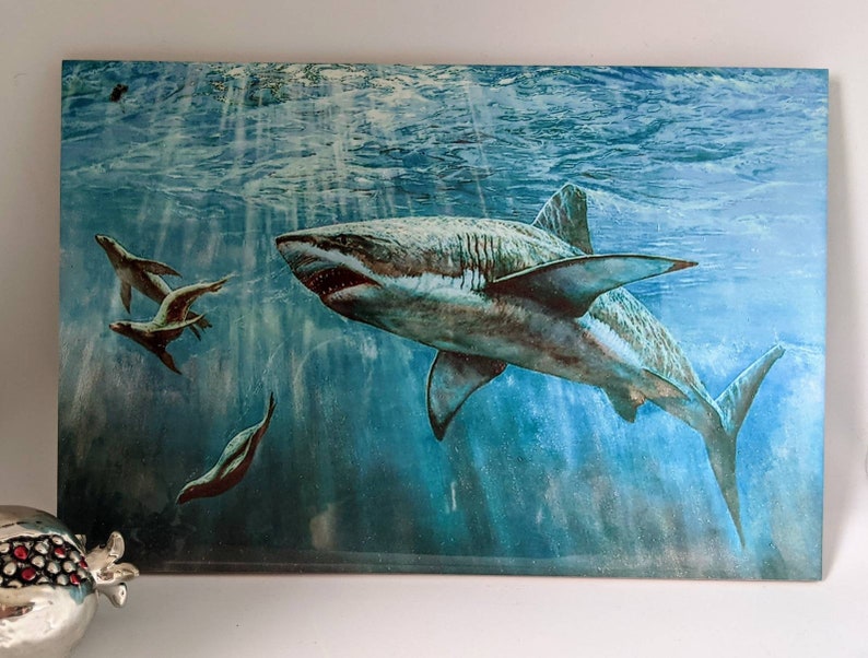 Shark Ceramic Wall Art Tile, 8" by 12" Glossy Finish, With or Without ...
