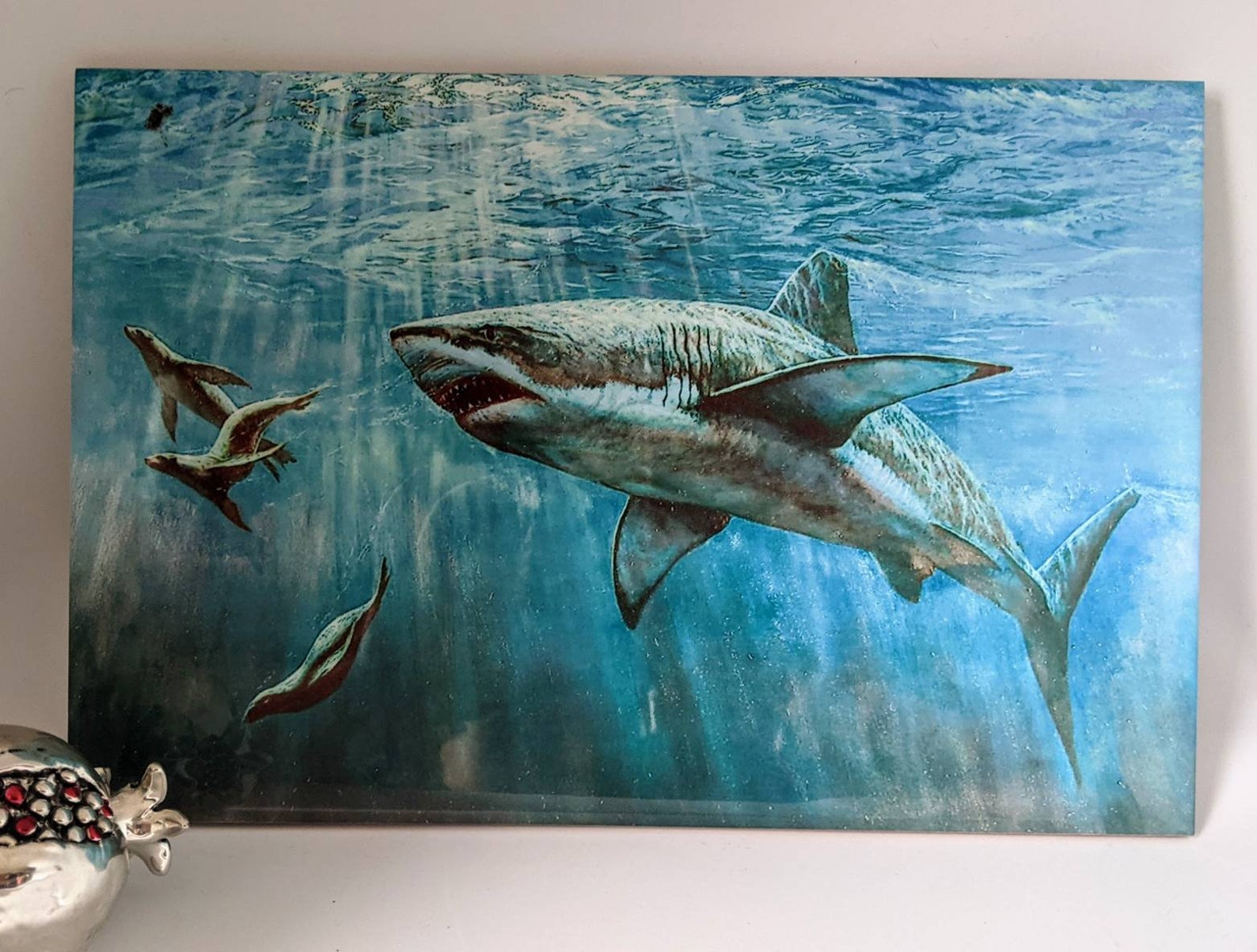 Shark Ceramic Wall Art Tile, 8" by 12" Glossy Finish, With or Without ...