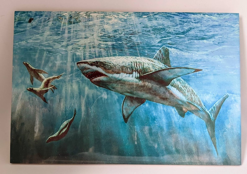 Shark Ceramic Wall Art Tile, 8" by 12" Glossy Finish, With or Without ...