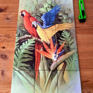 Parrots Ceramic Tile Mural. - Etsy