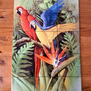 Parrots Ceramic Tile Mural. - Etsy