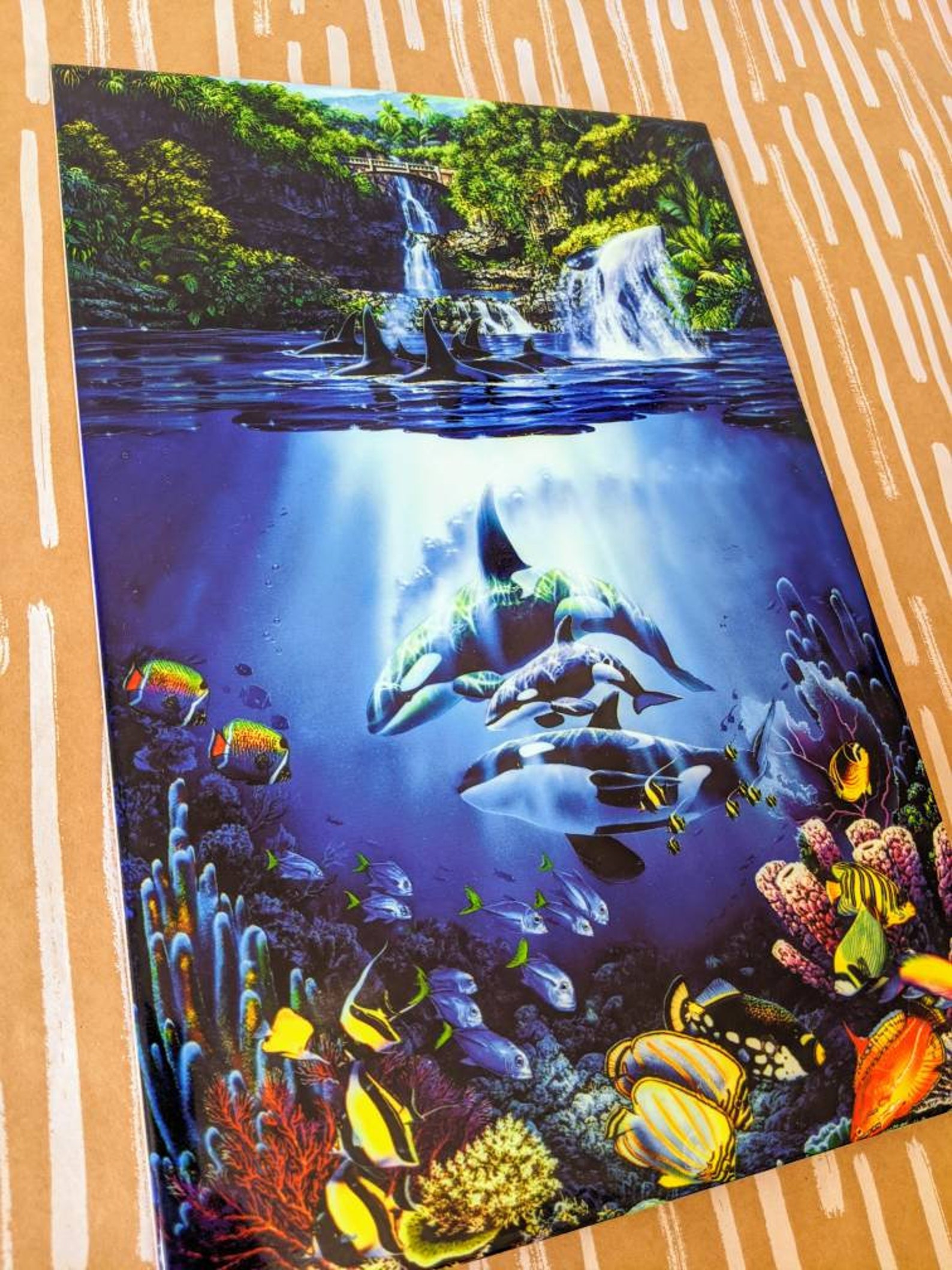 Orcas Killer Whale Ceramic Wall Art Tile, 8" by 12" Glossy Finish, With ...