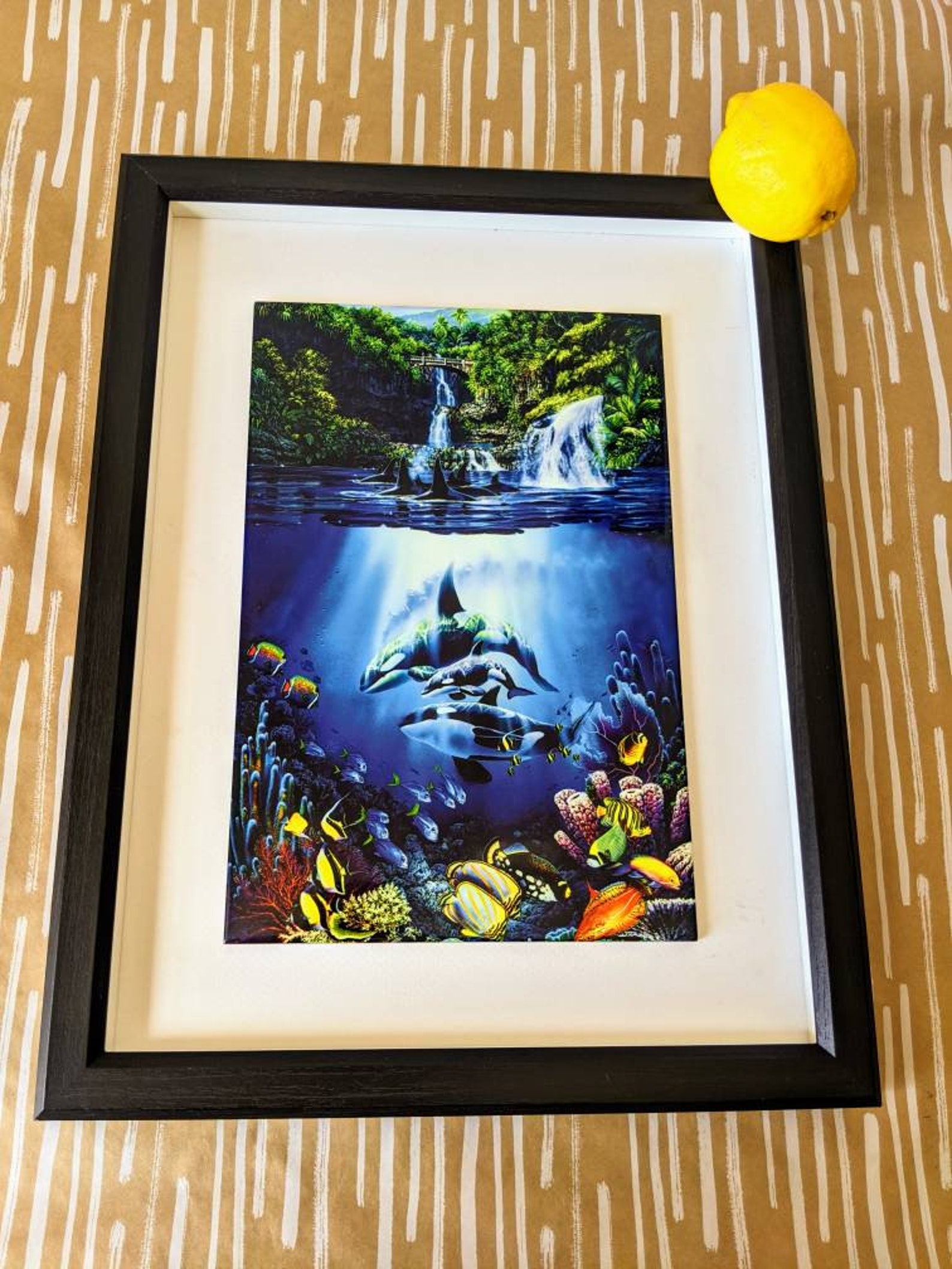 Orcas Killer Whale Ceramic Wall Art Tile, 8" by 12" Glossy Finish, With ...