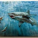 Shark Ceramic Wall Art Tile, 8" by 12" Glossy Finish, With or Without ...
