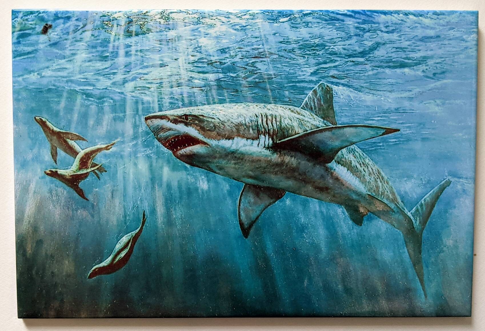 Shark Ceramic Wall Art Tile, 8" by 12" Glossy Finish, With or Without ...