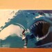 Shark Ceramic Wall Art Tile, 8" by 12" Glossy Finish, With or Without ...