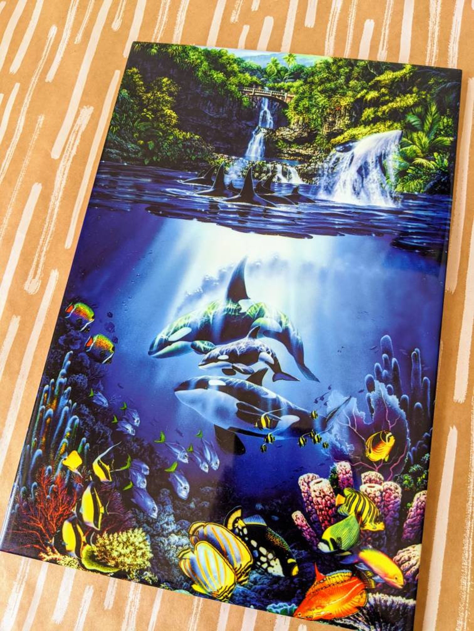 Orcas Killer Whale Ceramic Wall Art Tile, 8" by 12" Glossy Finish, With ...