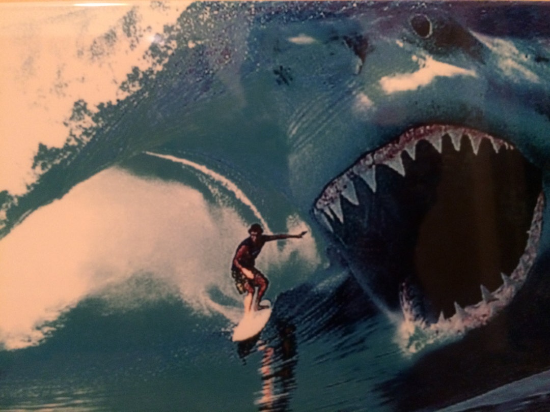 Shark Ceramic Wall Art Tile, 8" by 12" Glossy Finish, With or Without ...