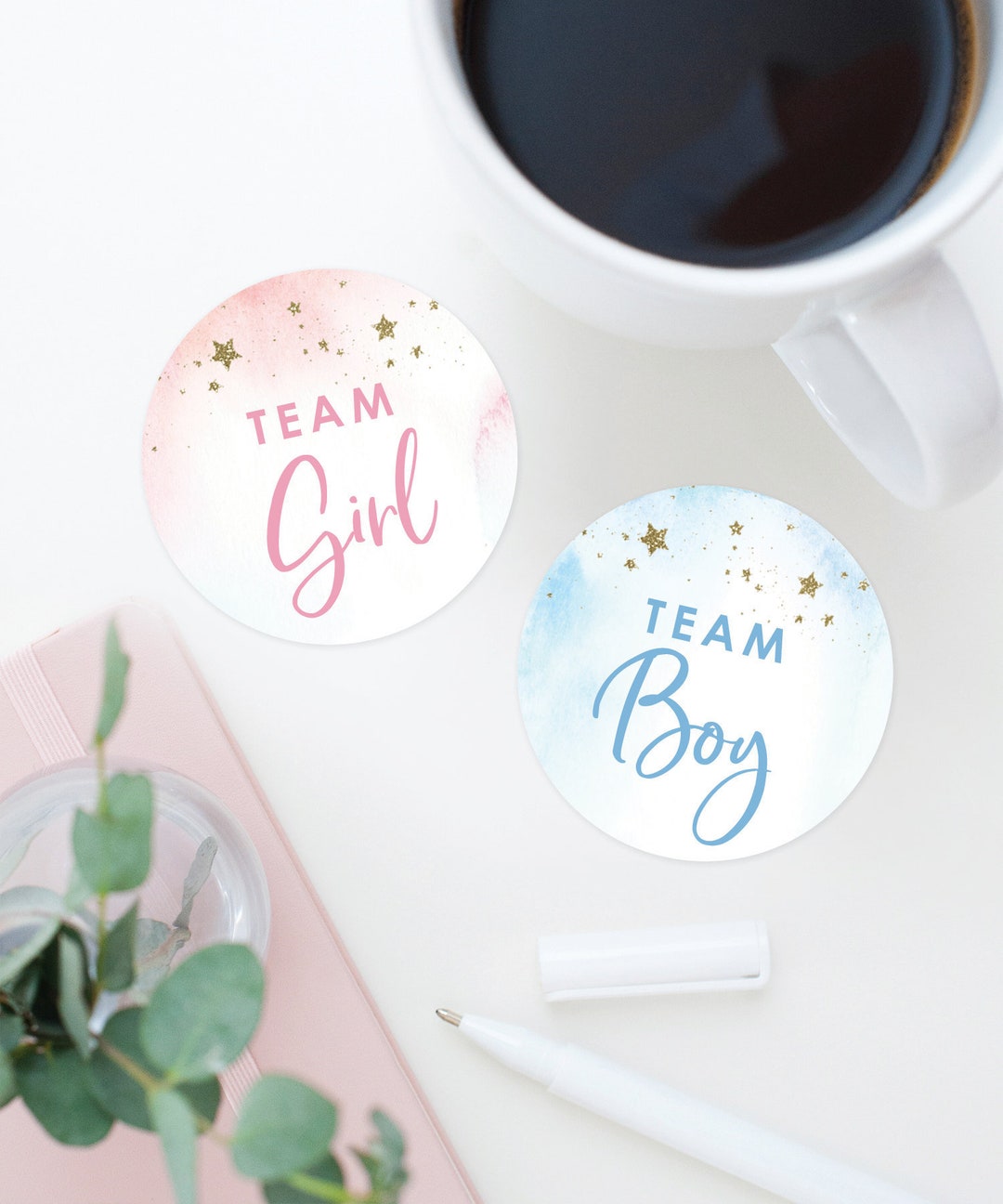 Twinkle Twinkle Gender Reveal - Team Boy Team Girl Stickers - Gender ...
