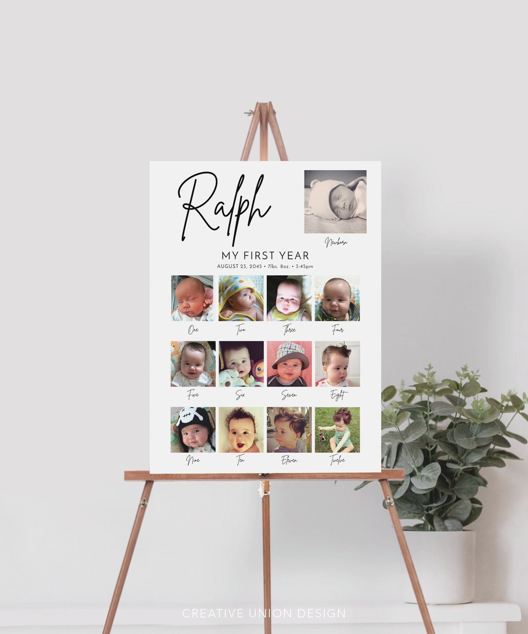 Milestone First Birthday Sign Template, Printable Baby's First Year ...