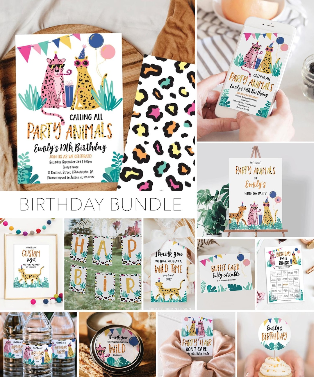 Mod Party Animals Birthday Party Bundle, Girl Birthday Party, Boy ...