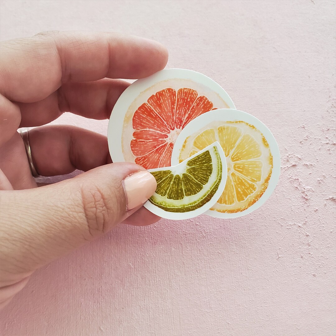 Citrus Sticker Set Summer Stickers Orange Slice Sticker - Etsy