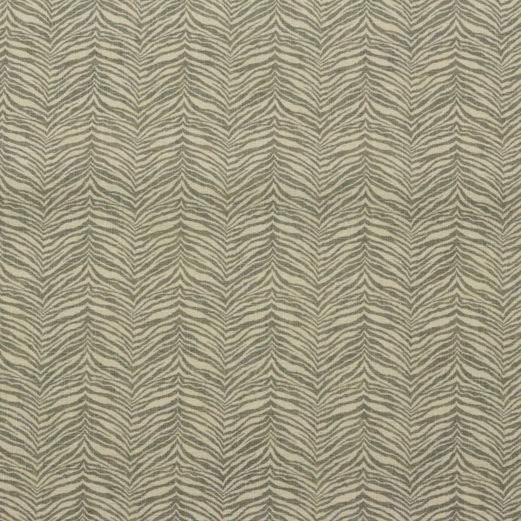 Designer TIGER STRIPE GRAY Natural Zebra Stripe Animal Print Drapery ...