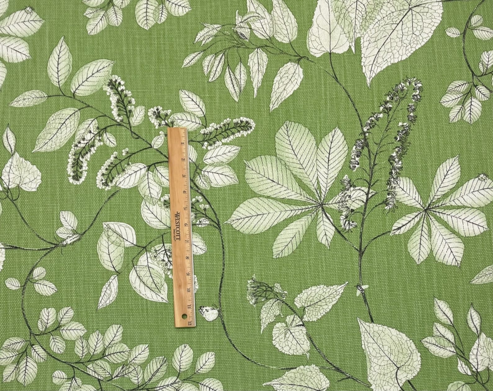 Ballard Designs BECCA GREEN Ivory Gray Butterfly Leaf Vine - Etsy