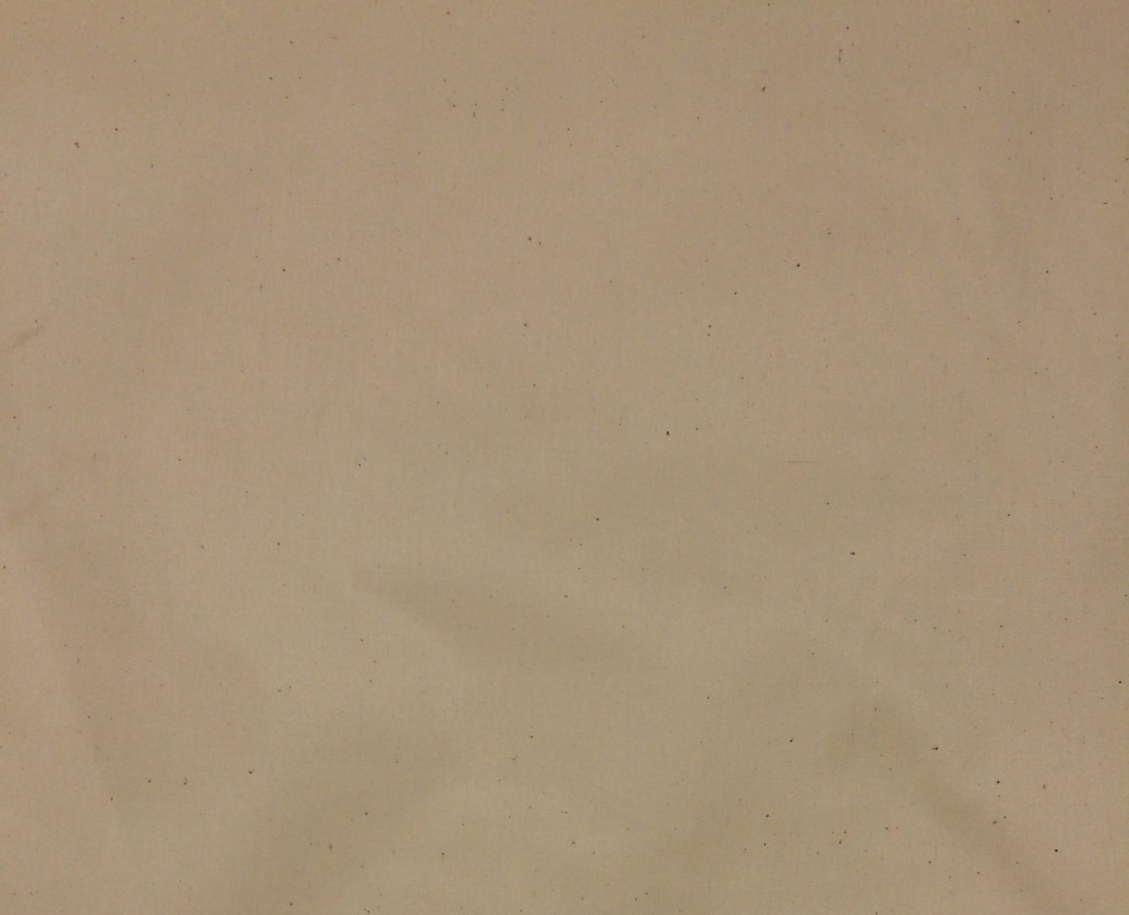 DOWN PROOF TICKING Natural Unbleached Featherproof Heavy Quality ...