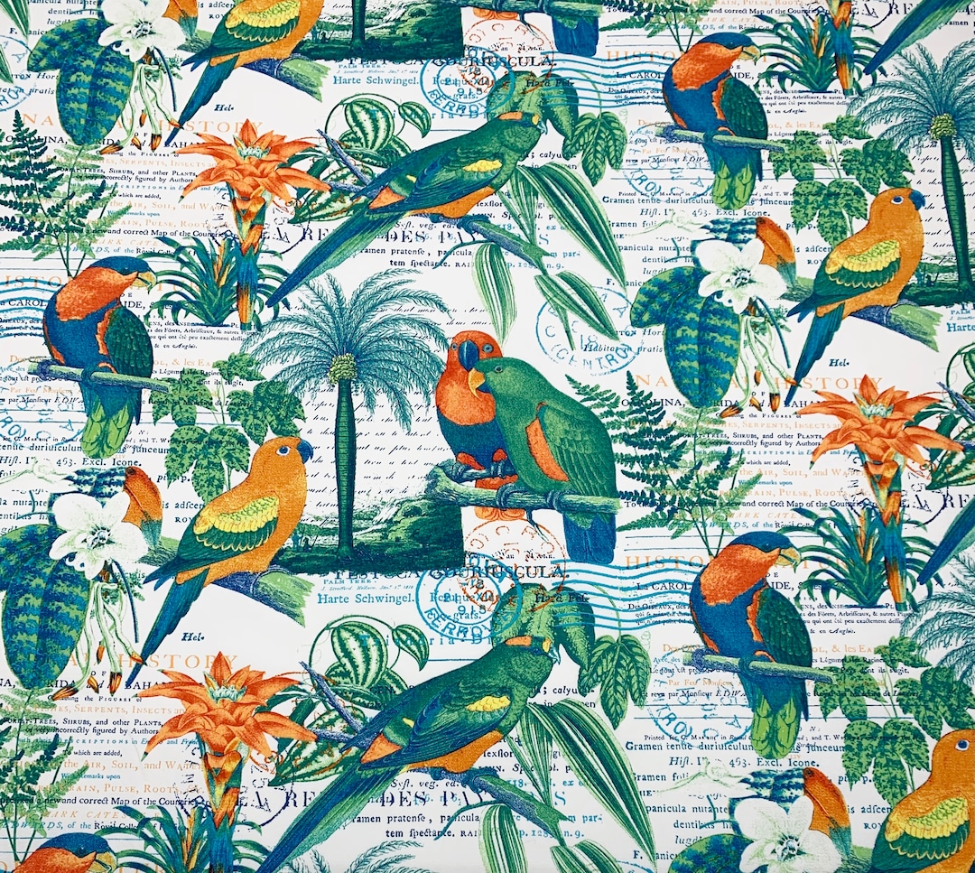 Richloom EL CENTRO CURACAO Blue Green Orange Parrots Tropical Birds ...