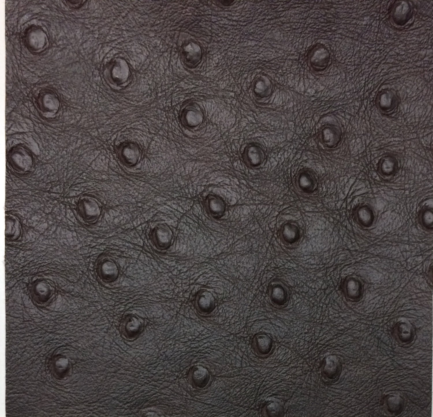 VINYL OSTRICH EMU Dark Brown Faux Leather Home Decor Multi-use Fabric ...