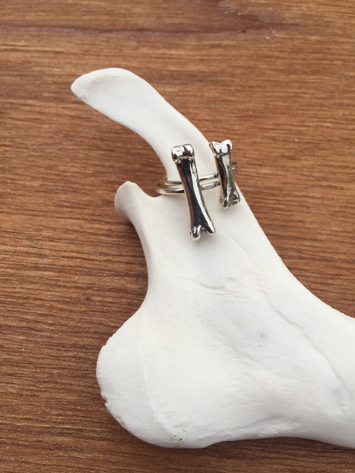 Fox Toe Bone Ring Short, Sterling Silver, Bone Jewelry, Silver Rings ...