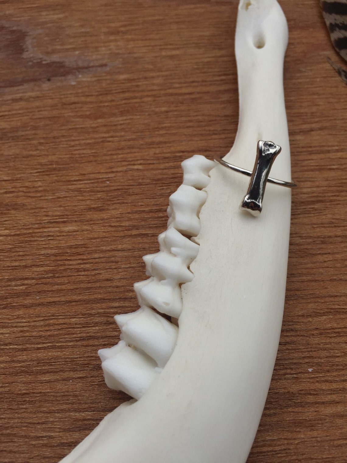 Fox Toe Bone Ring Short, Sterling Silver, Bone Jewelry, Silver Rings ...