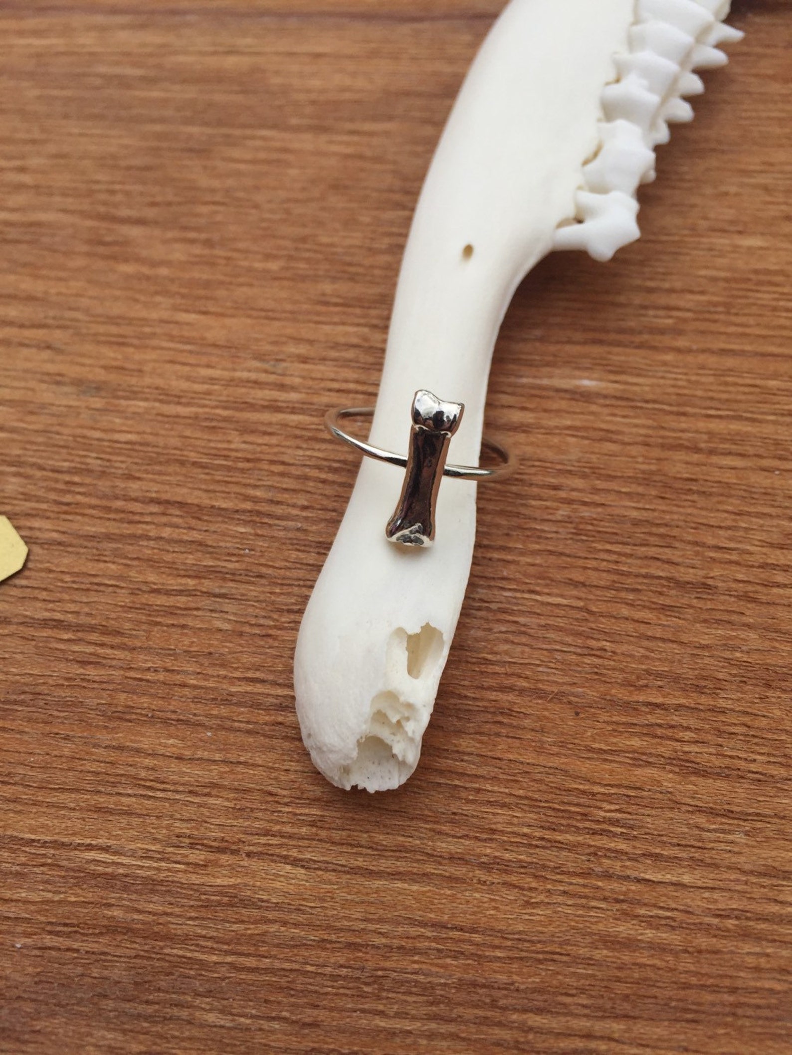 Fox Toe Bone Ring Short, Sterling Silver, Bone Jewelry, Silver Rings ...